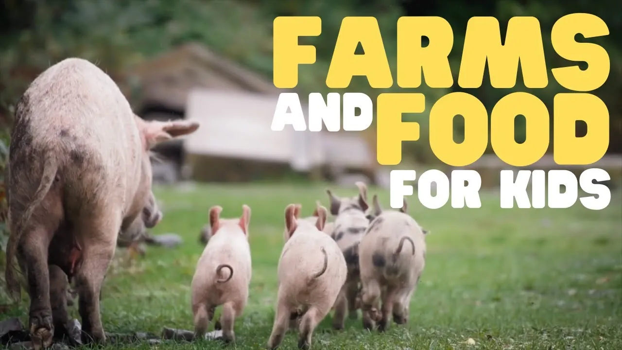 Farms and Food for Kids | Learn how food comes from a farm to your ...