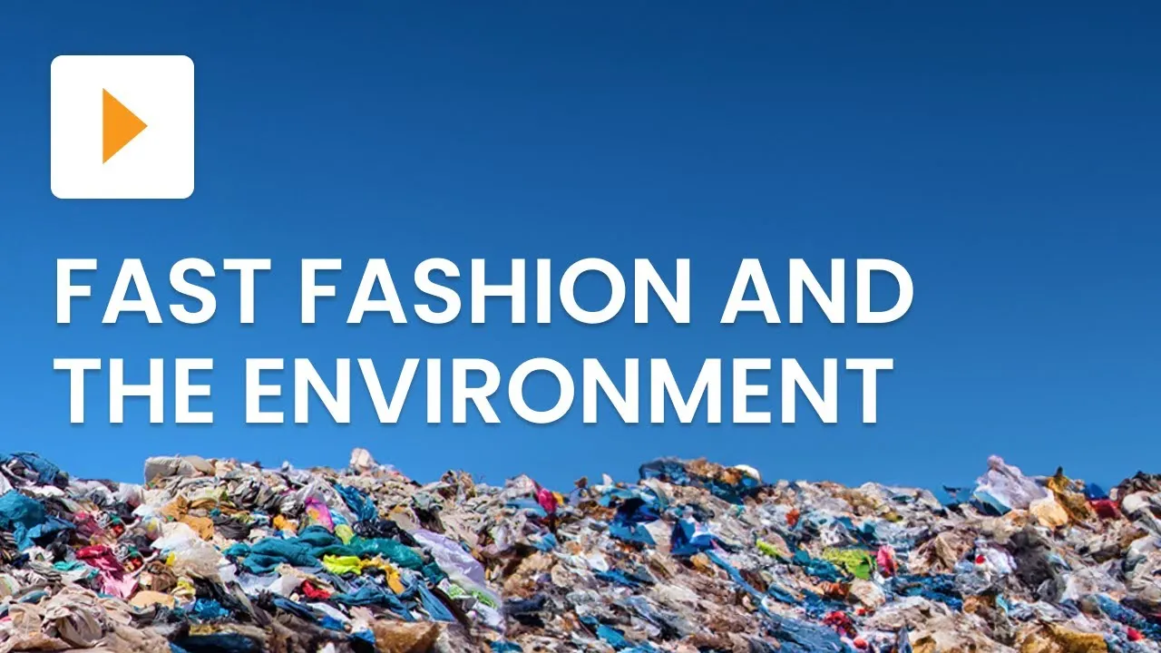 Fast Fashion: The Environmental Impact | Geography, Life Skills - ClassX