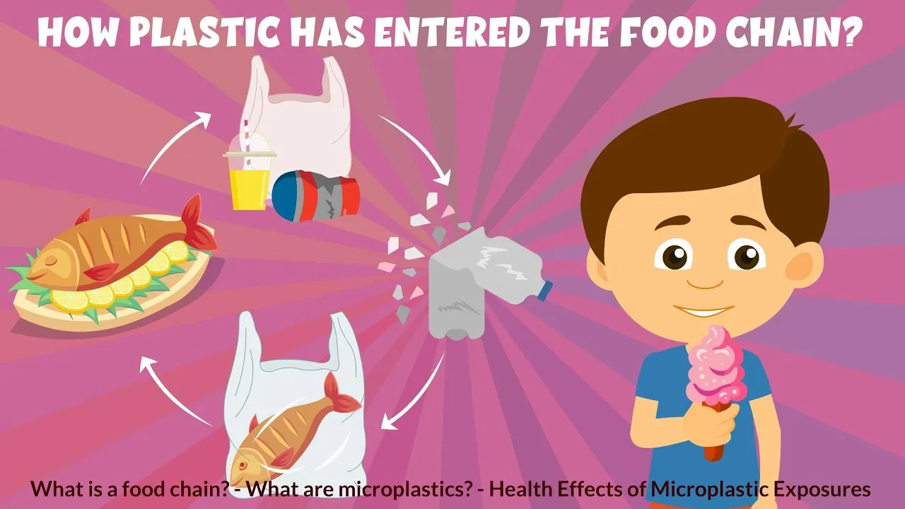 Food Chain - How plastic has entered the food chain? - Microplastics ...