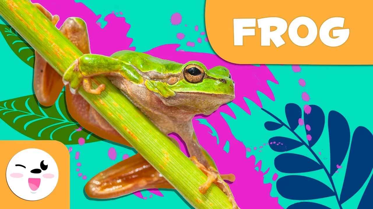 Frog ???? Animals for Kids ????️ Episode 6 - ClassX