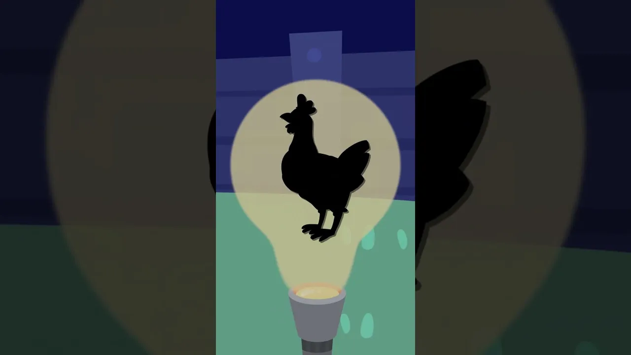 Guess the Farm Animal ???????????? - ClassX