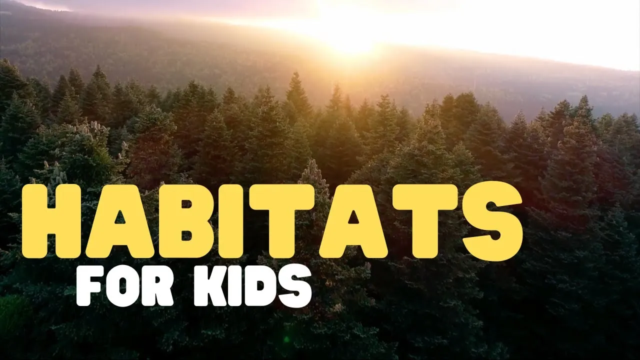 Habitats for Kids | Learn all about deserts, forests, grasslands ...