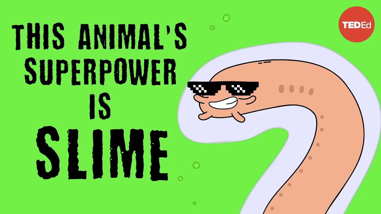 Hagfish: The world's slimiest creatures - Noah R. Bressman and Douglas ...