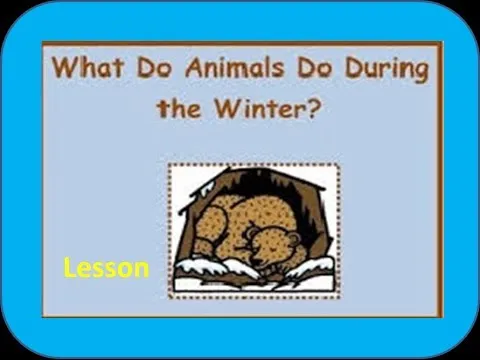 Hibernating and Migrating Animals - ClassX