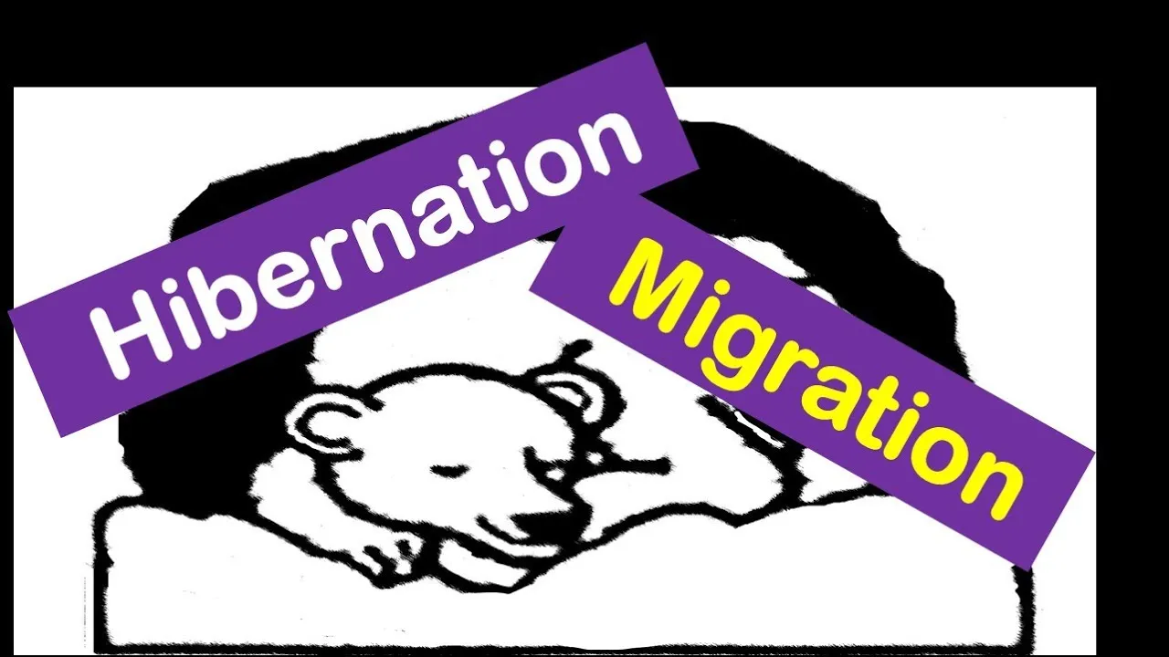 Hibernation and Migration - ClassX
