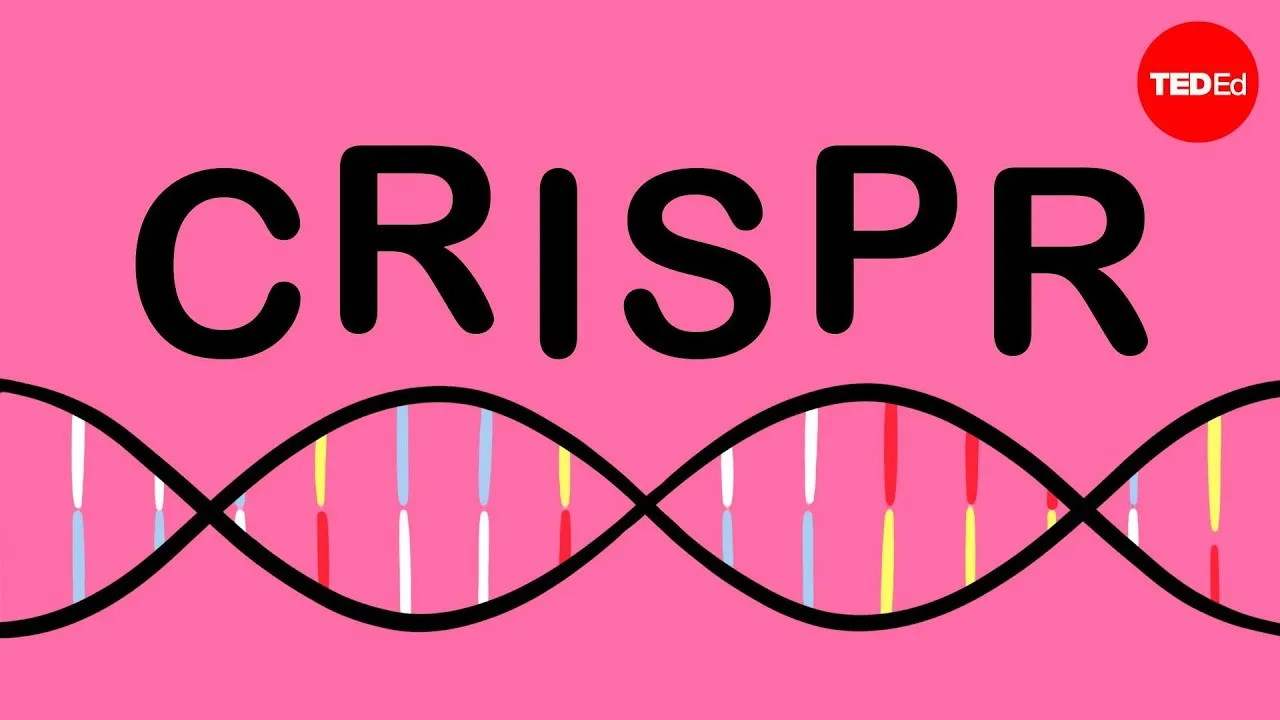 How Crispr Lets You Edit Dna Andrea M Henle Classx