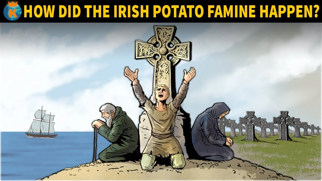 How did the Irish Potato Famine Happen? - ClassX
