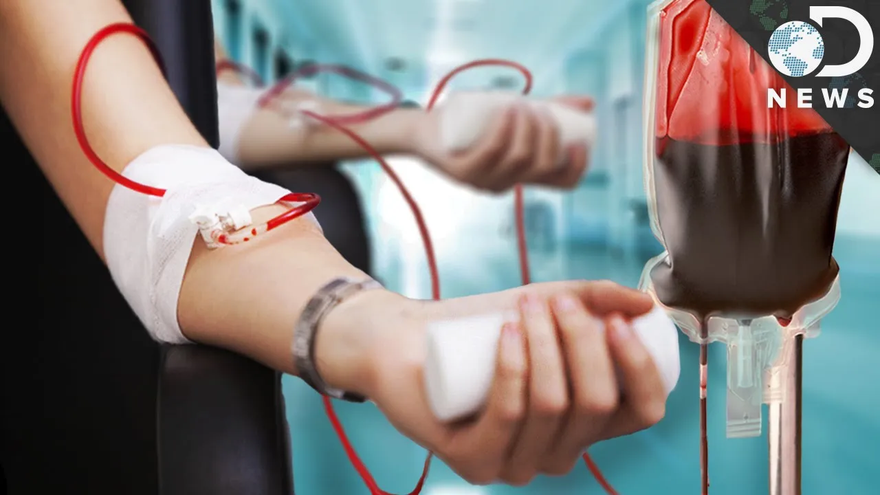 How Do Blood Transfusions Work? - ClassX