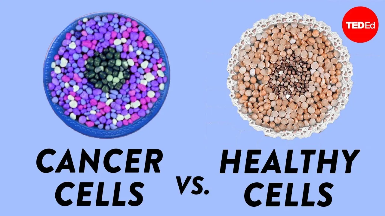 How do cancer cells behave differently from healthy ones? - George ...