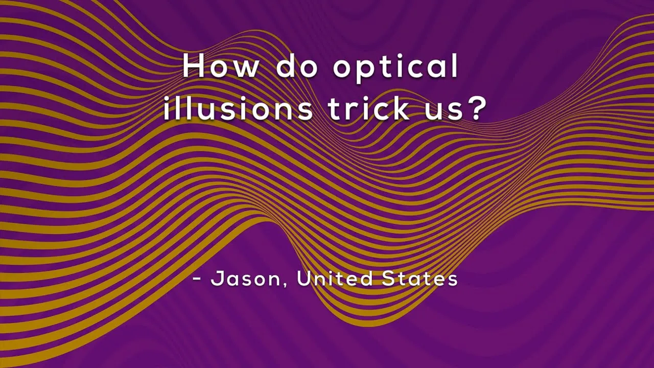 How do optical illusions trick us? - ClassX