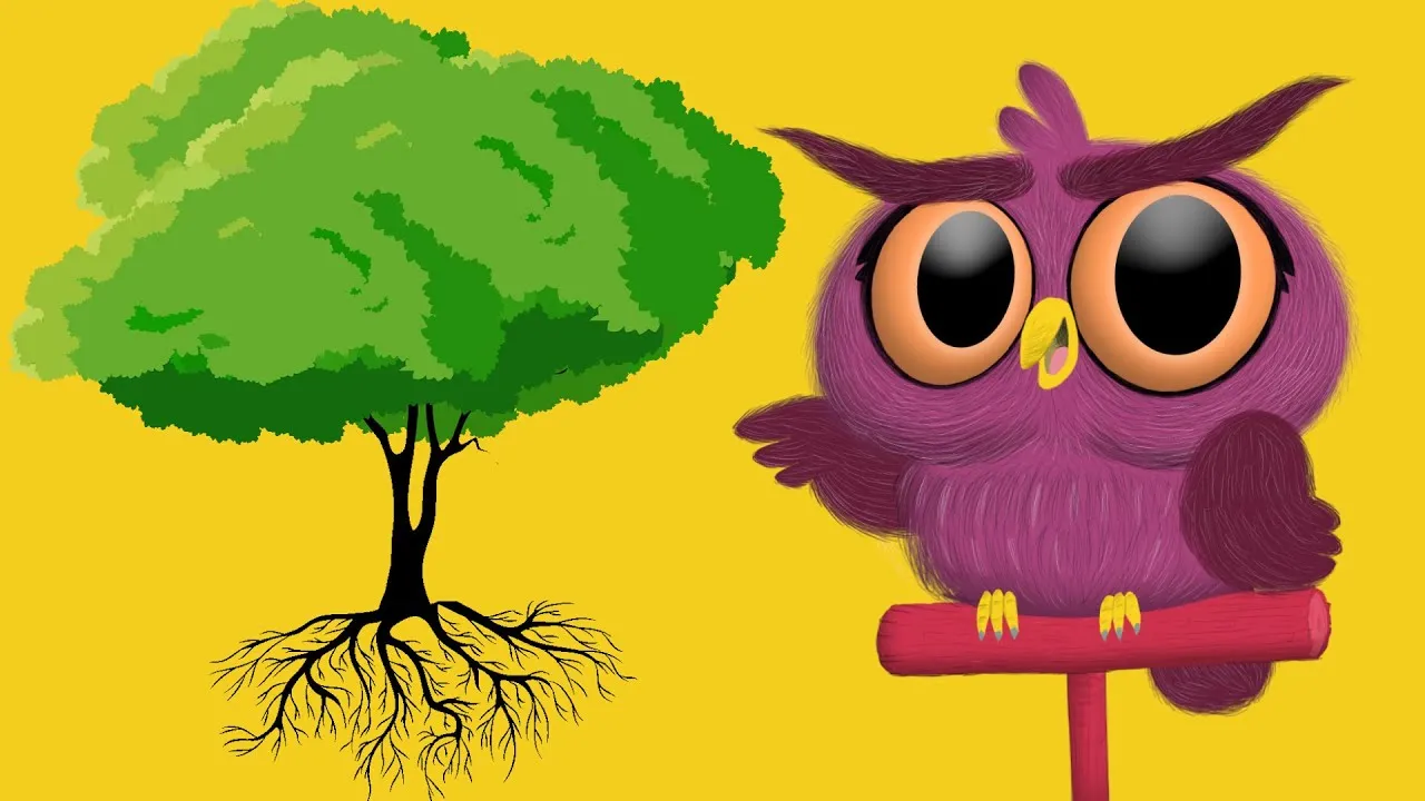 How Do Trees Grow? - Kids STEM #TeamTrees - ClassX