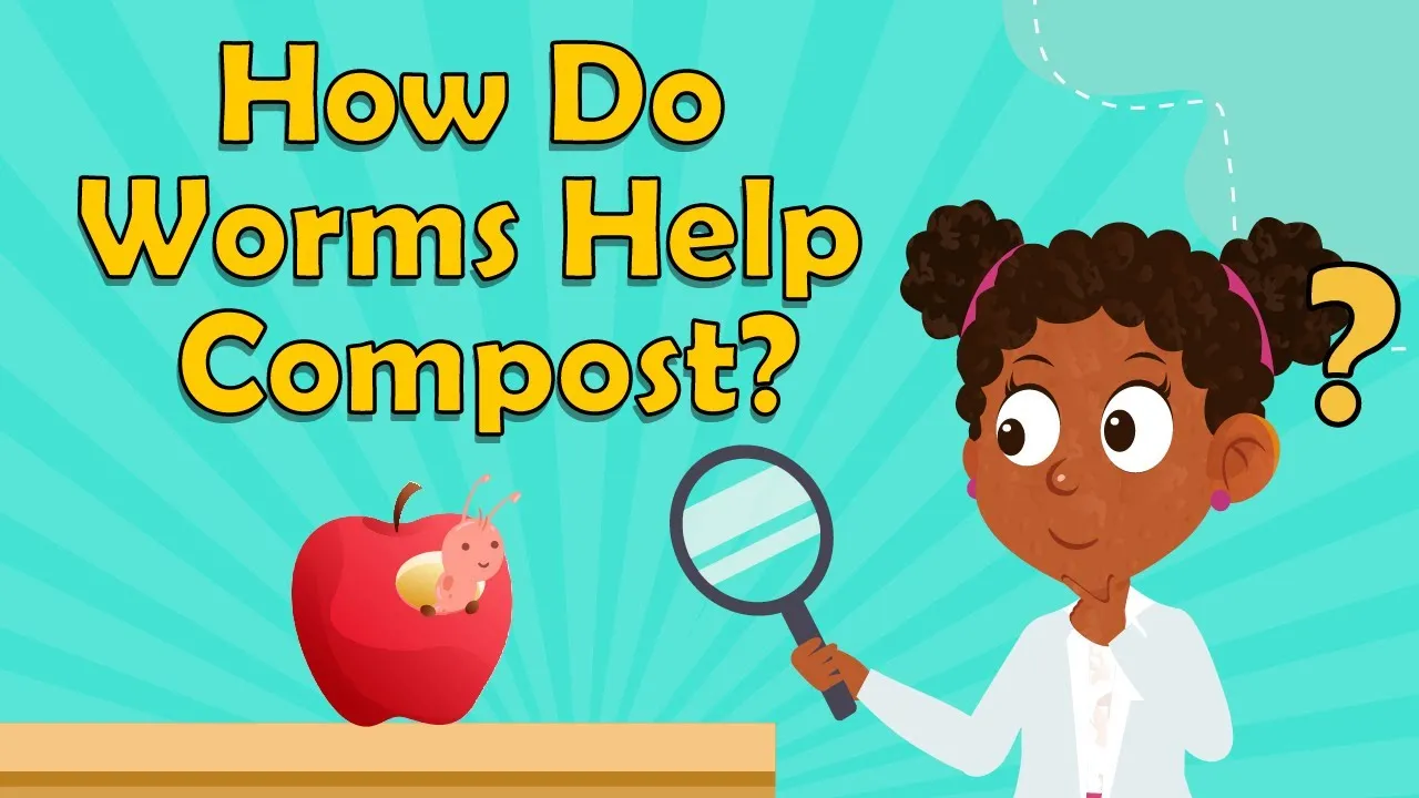 How Do Worms Help Compost? - ClassX
