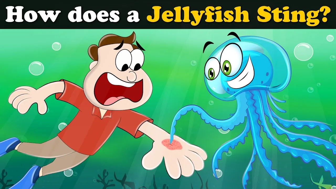 How does a Jellyfish Sting? - ClassX