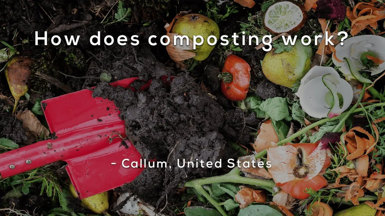 How does composting work? - ClassX