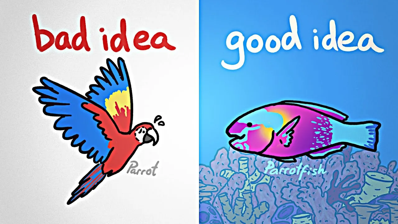 How Fish Get Away With Being Colorful - ClassX