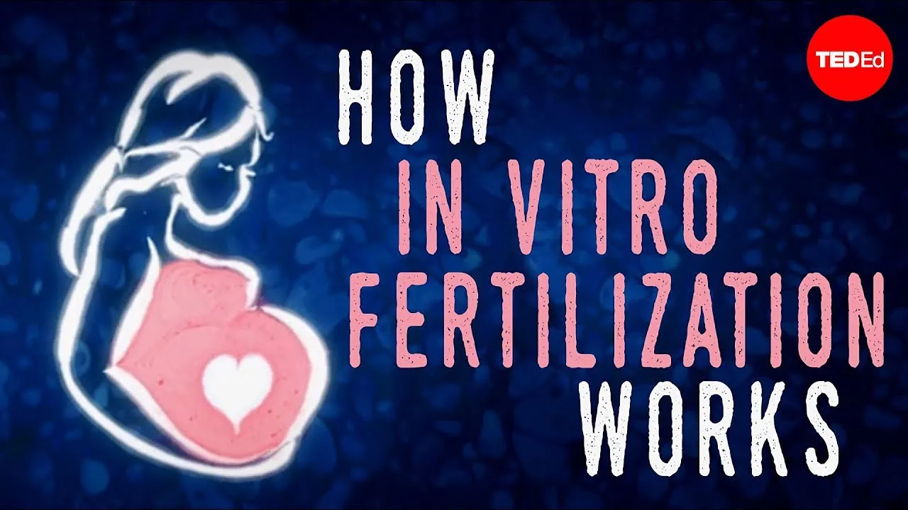How in vitro fertilization (IVF) works - Nassim Assefi and Brian A ...