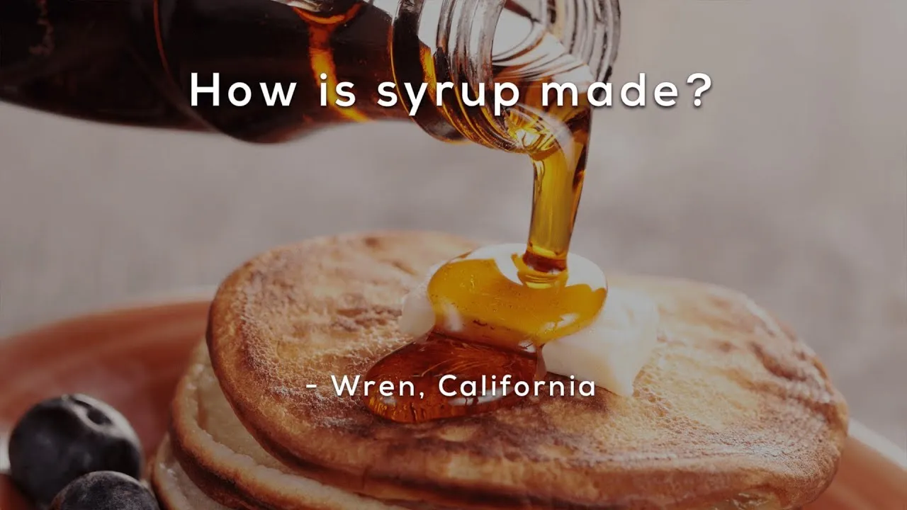 How is syrup made? - ClassX