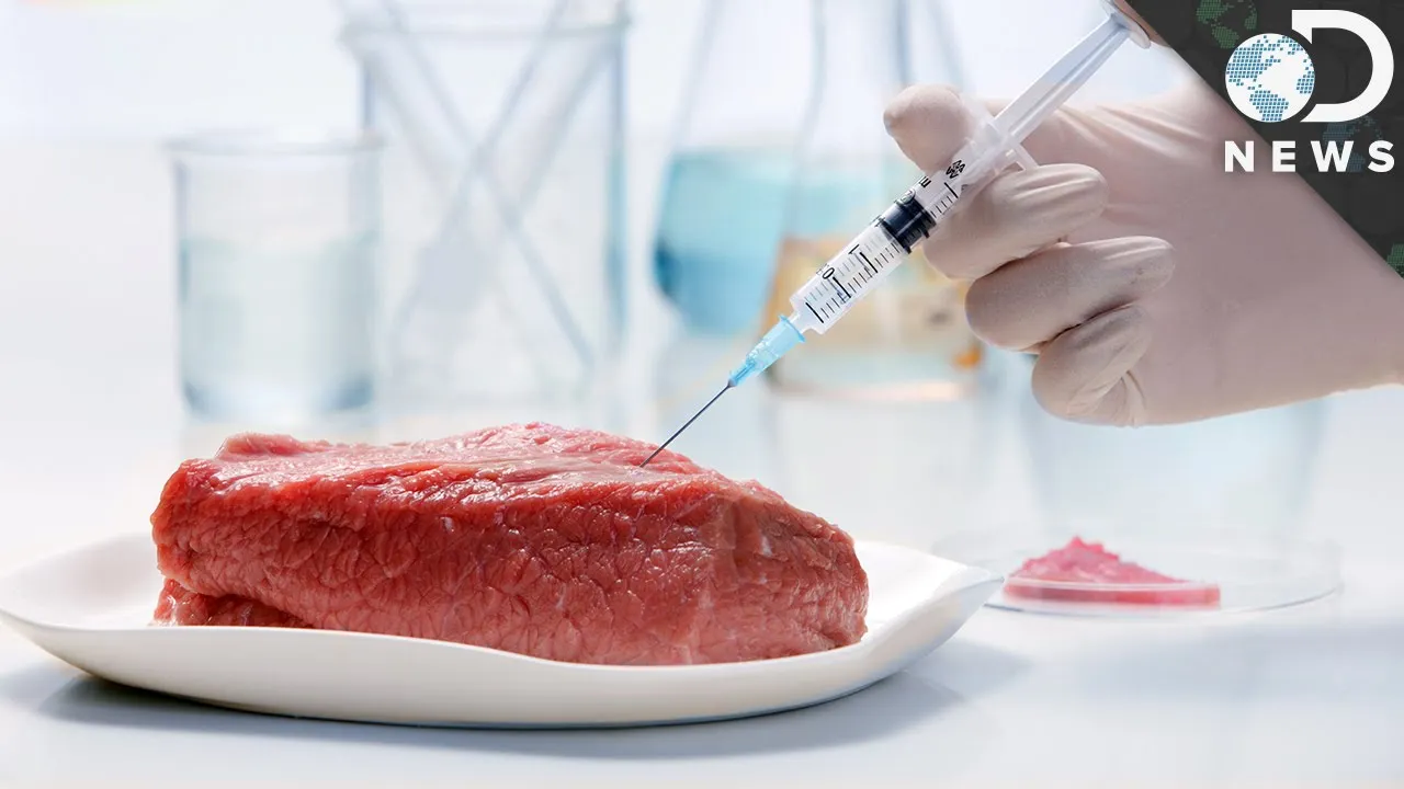 How Much Are Antibiotics Used in Your Meat? - ClassX