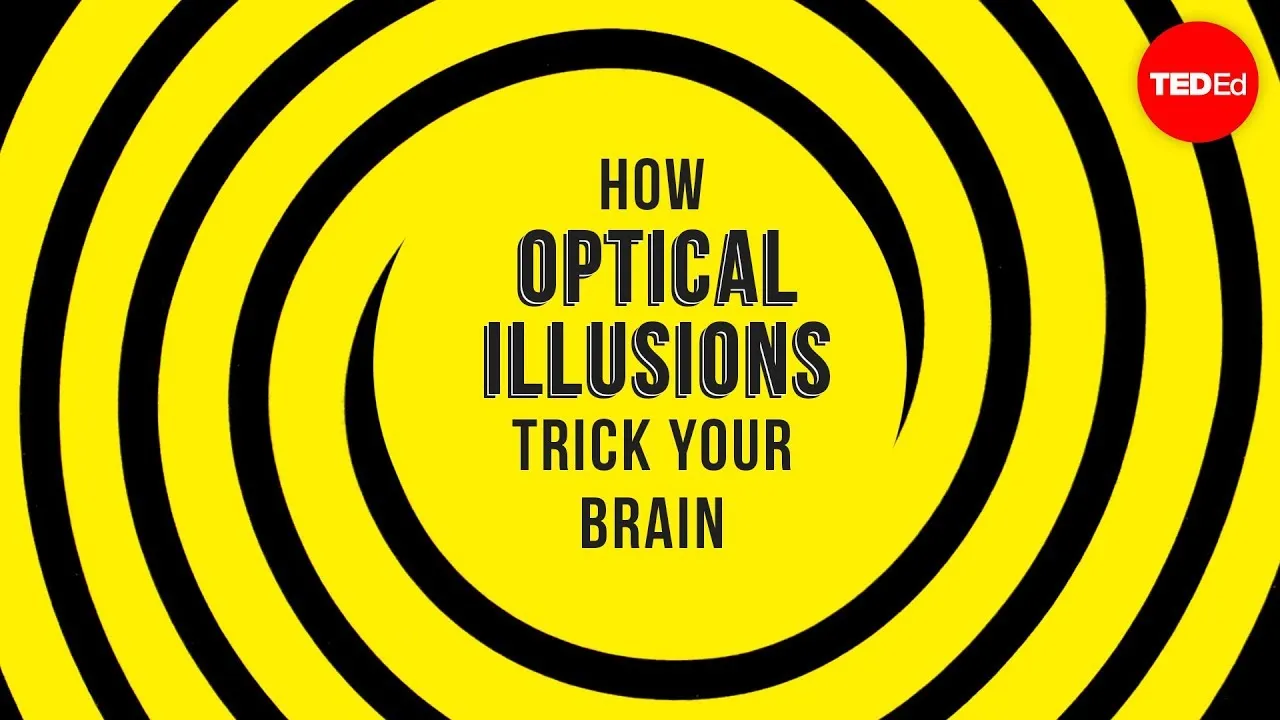 How optical illusions trick your brain - Nathan S. Jacobs - ClassX