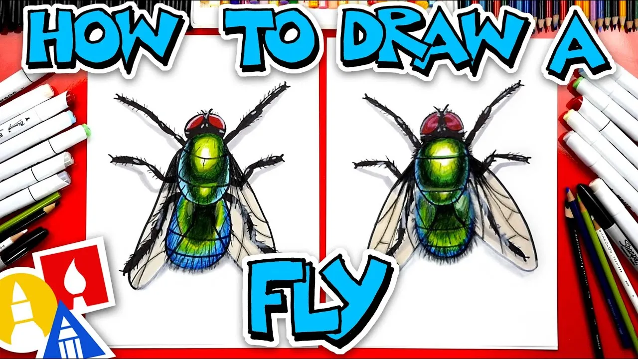 How To Draw A Realistic Fly - ClassX
