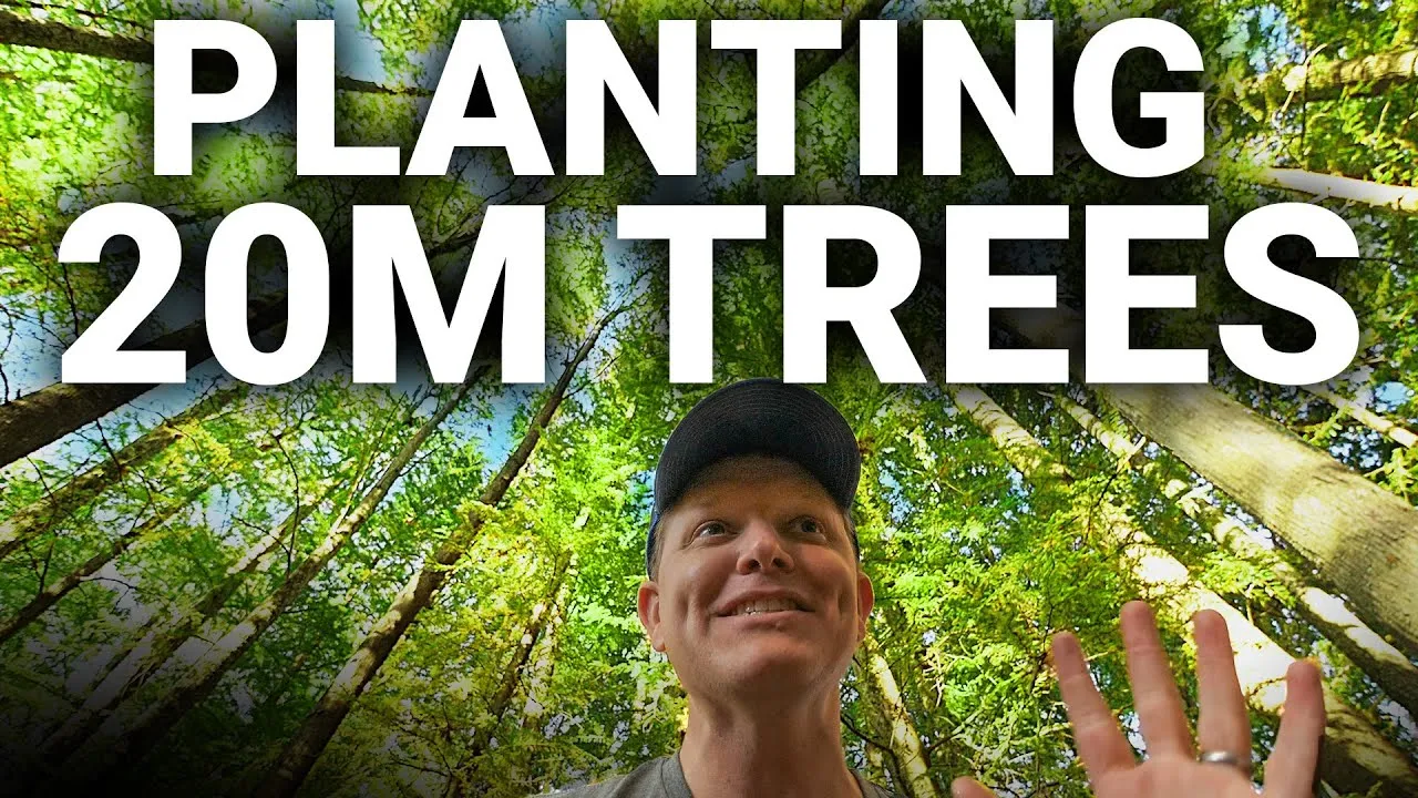 How to Plant 20 MILLION TREES - Smarter Every Day 227 #TeamTrees - ClassX