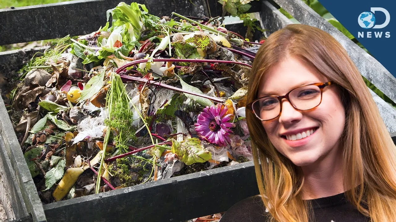 How To Start Your Own Compost - ClassX