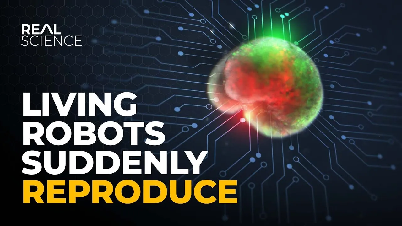 How We Accidentally Started Making Infinite Robots - ClassX