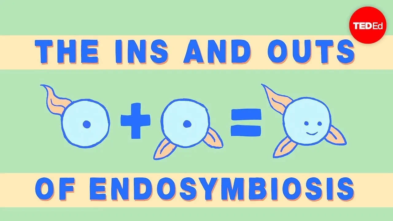 How we think complex cells evolved - Adam Jacobson - ClassX