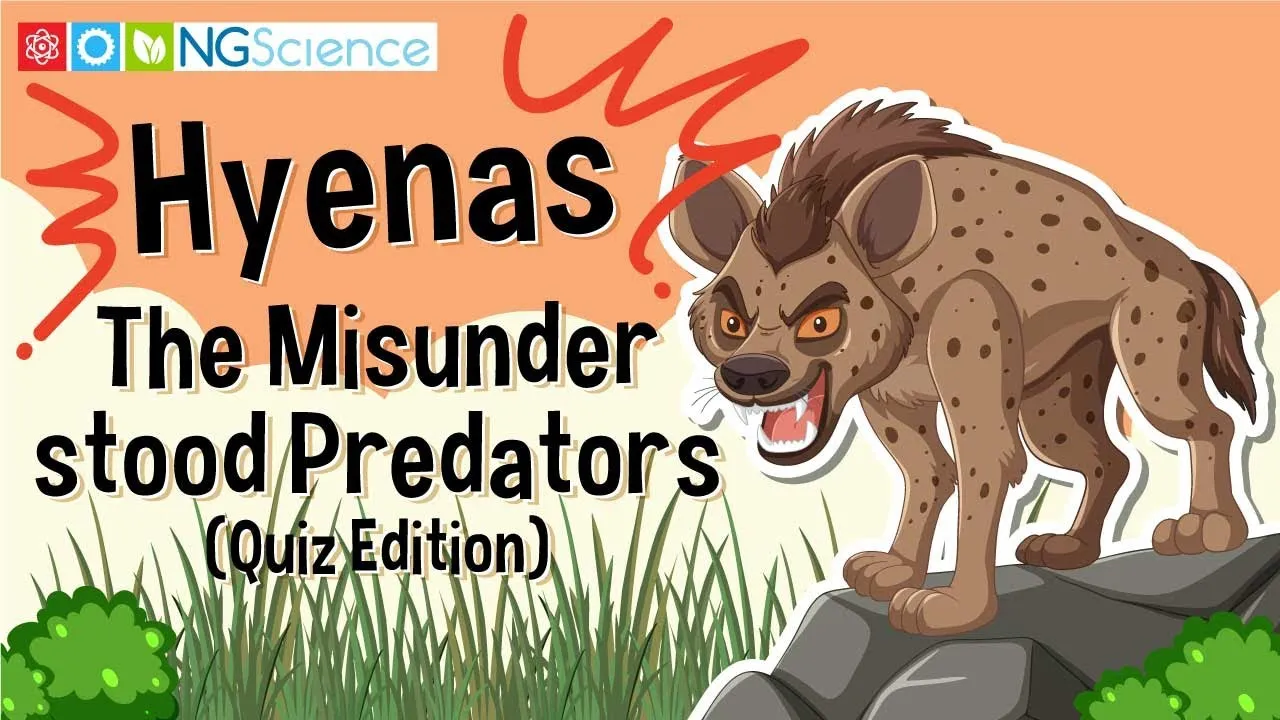 Hyenas: The Misunderstood Predators (Quiz Edition) - ClassX