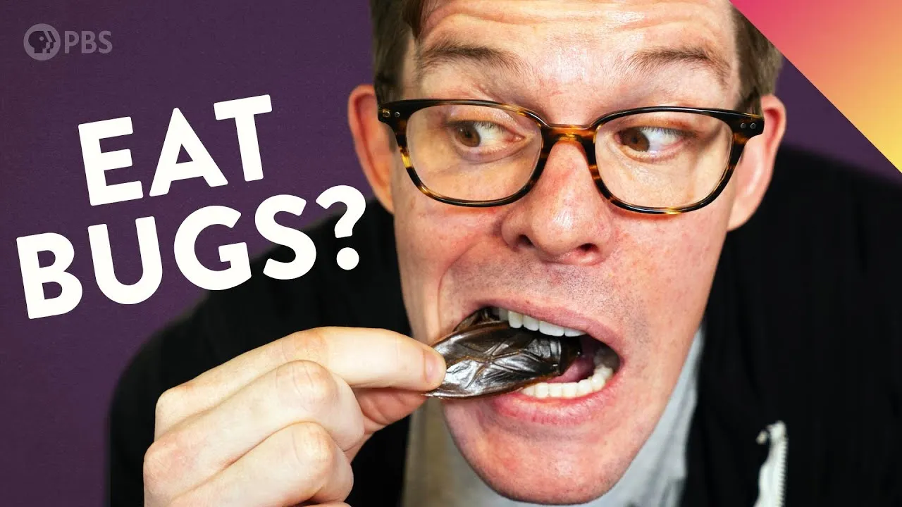 I Tried Eating Bugs… Here's What I Learned - ClassX