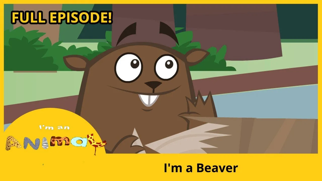 I'm a Beaver | I'M AN ANIMAL - ClassX