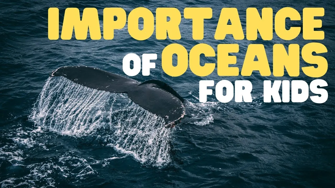 Importance of Oceans for Kids | Learn why Earth's oceans are so ...
