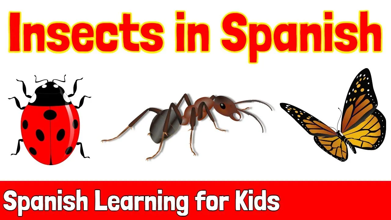 Insects in Spanish | Spanish Learning for Kids - ClassX