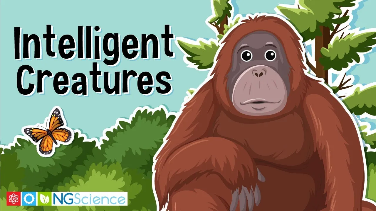 Intelligent Creatures - ClassX