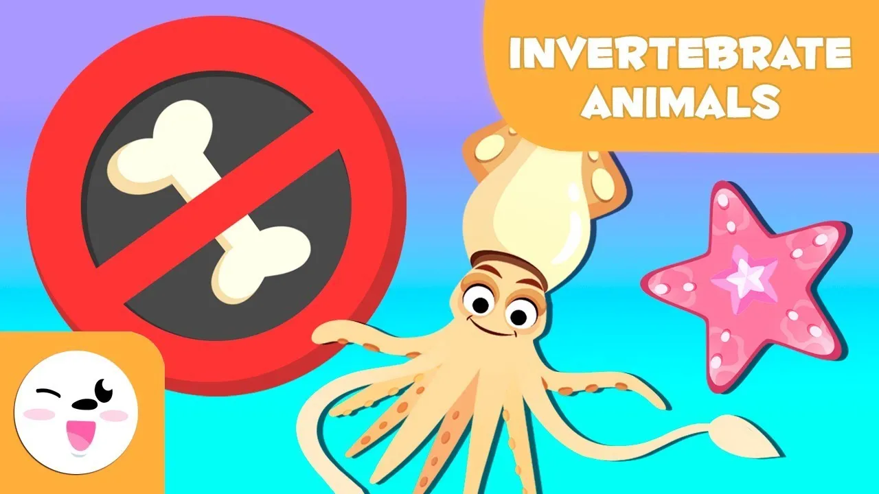 Invertebrate animals for kids: arthropods, worms, cnidarians, mollusks ...