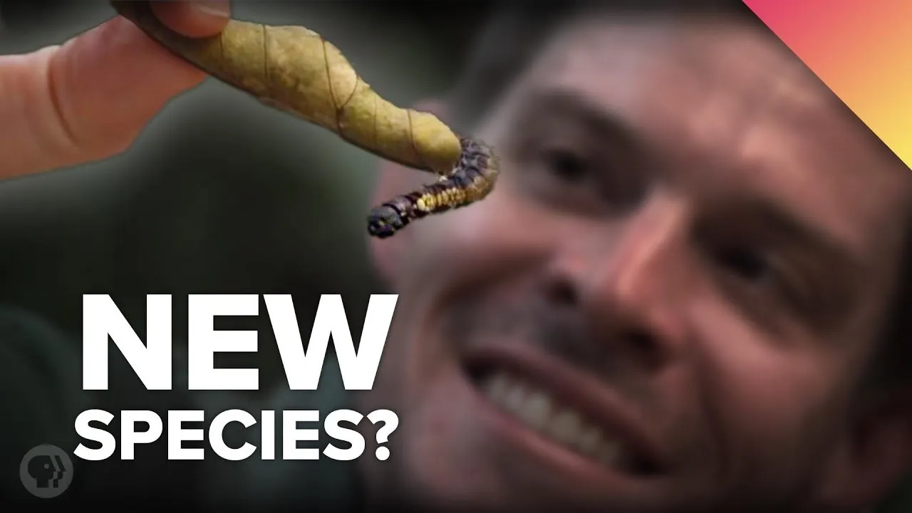 Is This A NEW SPECIES?! - ClassX