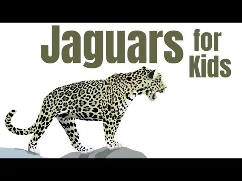 Jaguars for Kids - ClassX
