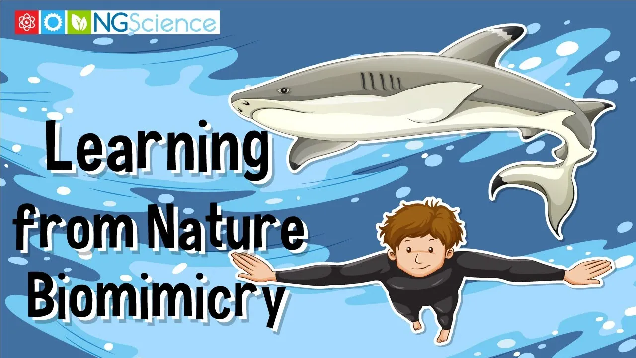 Learning from Nature – Biomimicry - ClassX