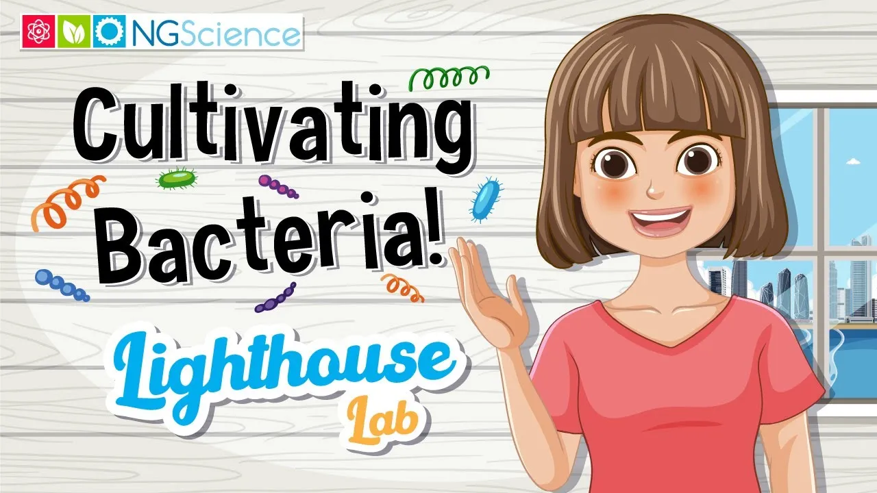Lighthouse Lab – Cultivating Bacteria! - ClassX