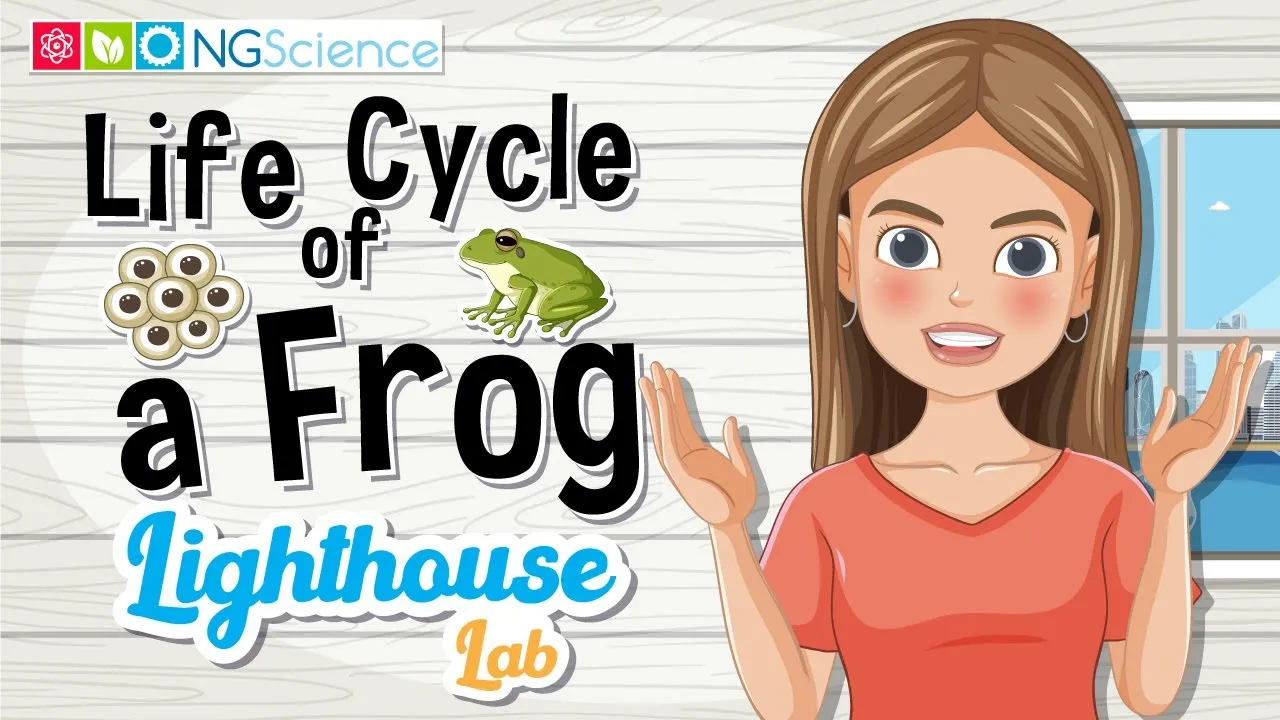 Lighthouse Lab – Life Cycle of a Frog - ClassX