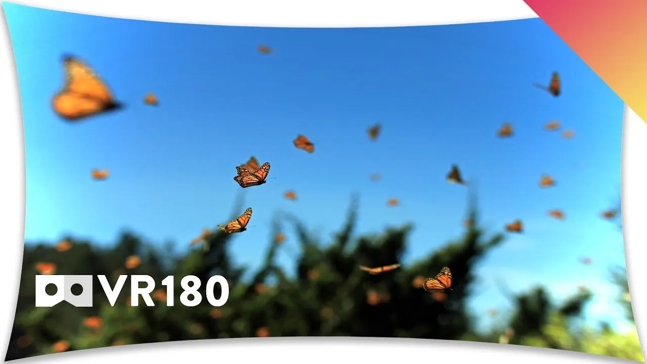 Mexico’s Monarch Butterfly Migration in VR180 - ClassX