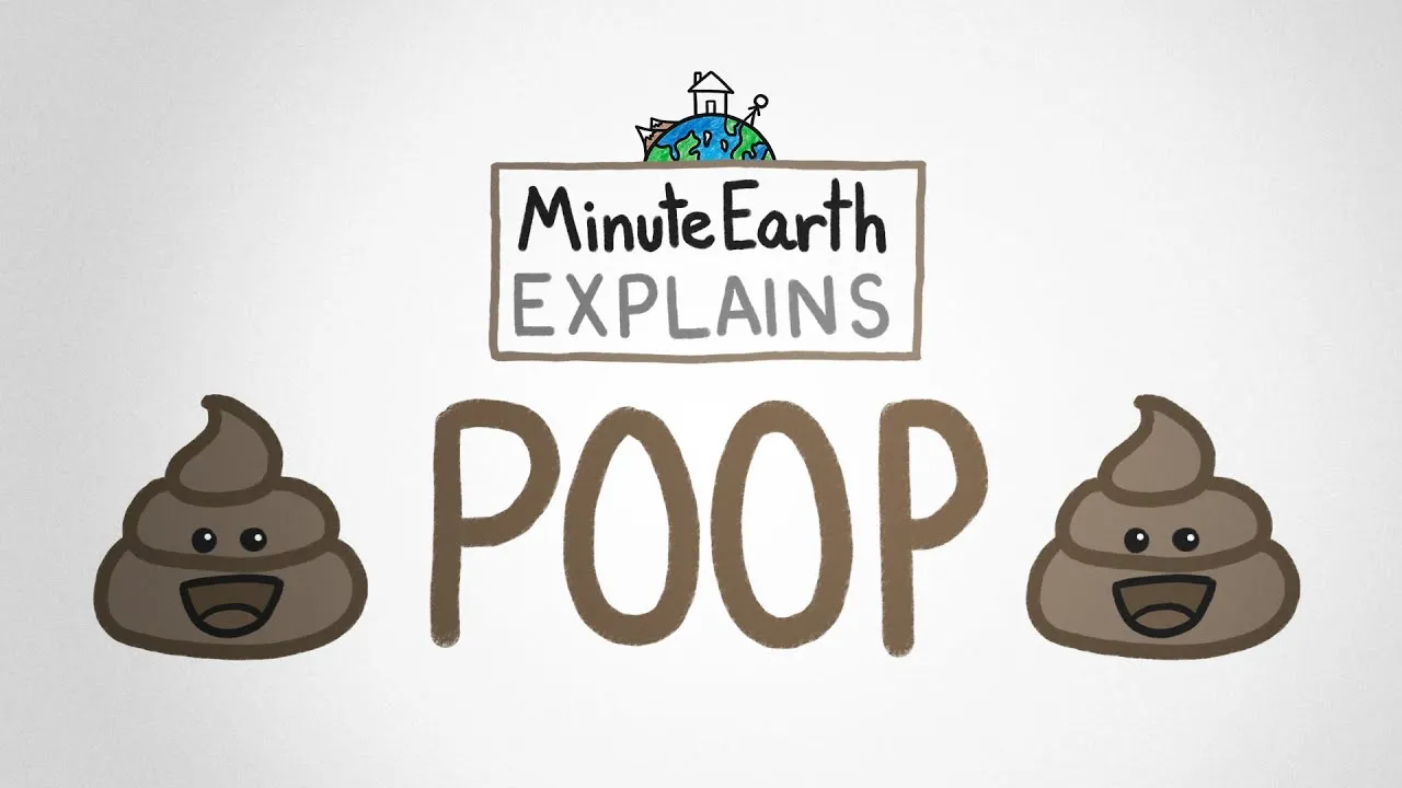 MinuteEarth Explains: Poop - ClassX