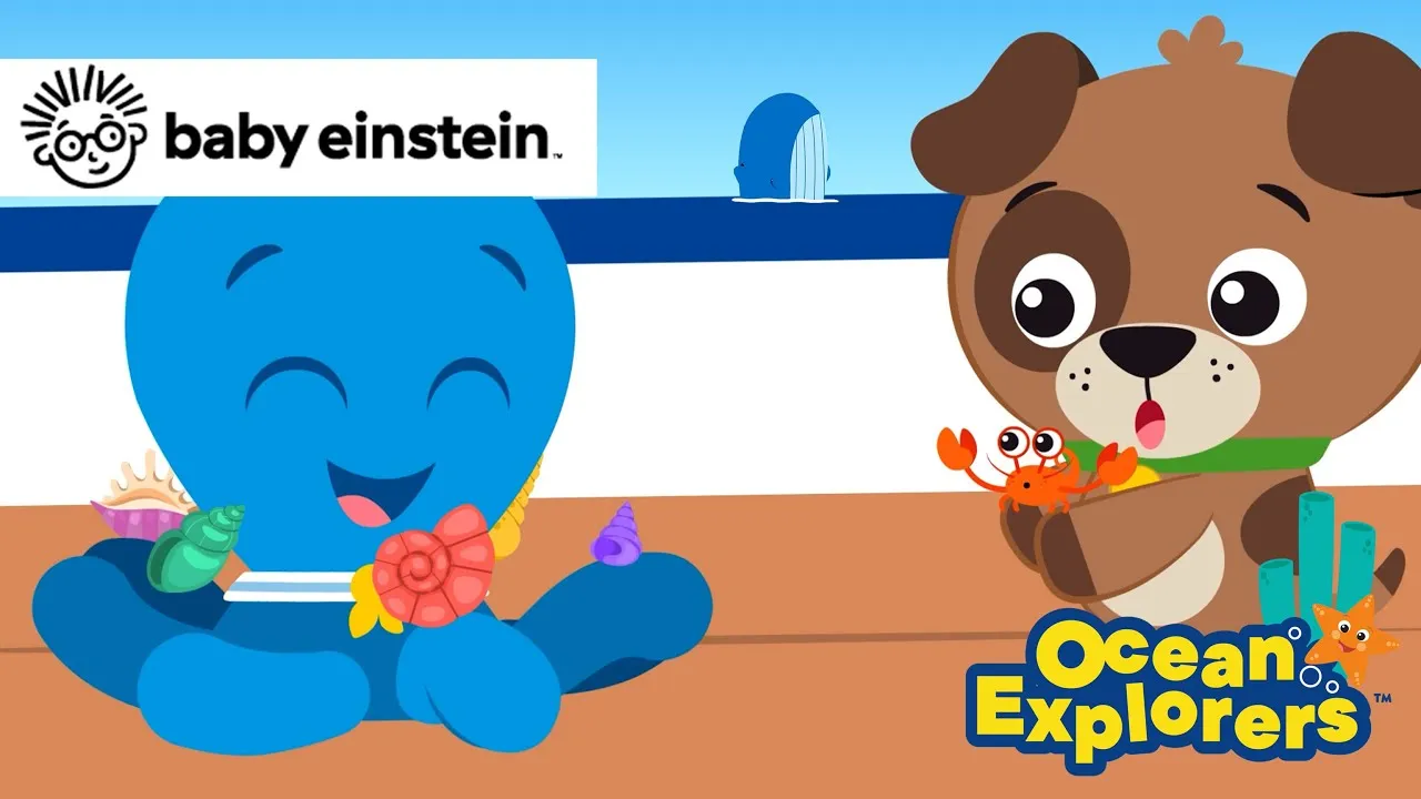 Organize Sizes with a Hermit Crab | Ocean Explorers Song Compilations ...