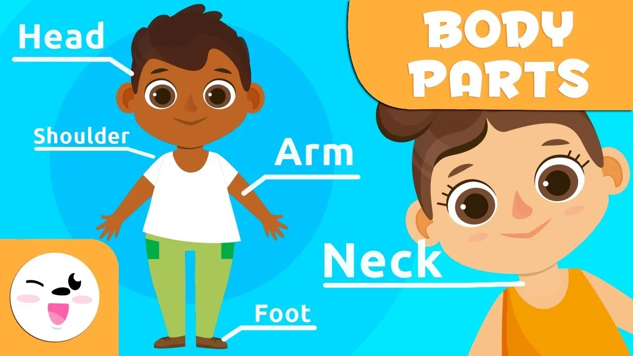 Parts of the head - The Human Body for kids - Vocabulary - ClassX