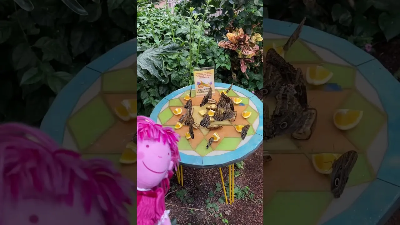 PINKALICIOUS Explores the Butterfly Biosphere! Butterfly Museum Part 2 ...