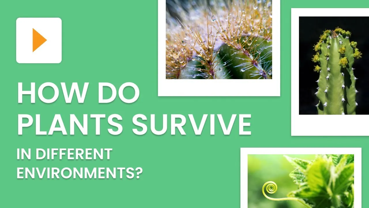 Plant Adaptations Explained | Science - ClassX