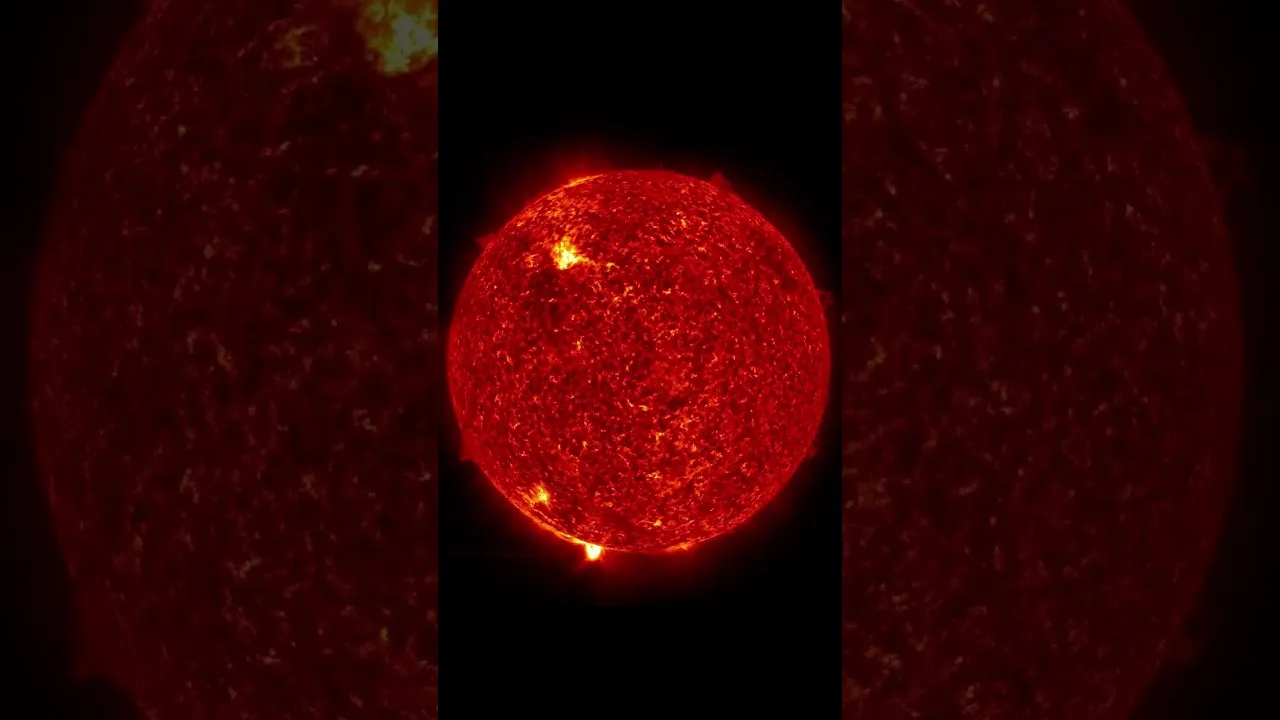 Plasma Loops on The Sun After Massive Solar Explosion #sun #astronomy # ...