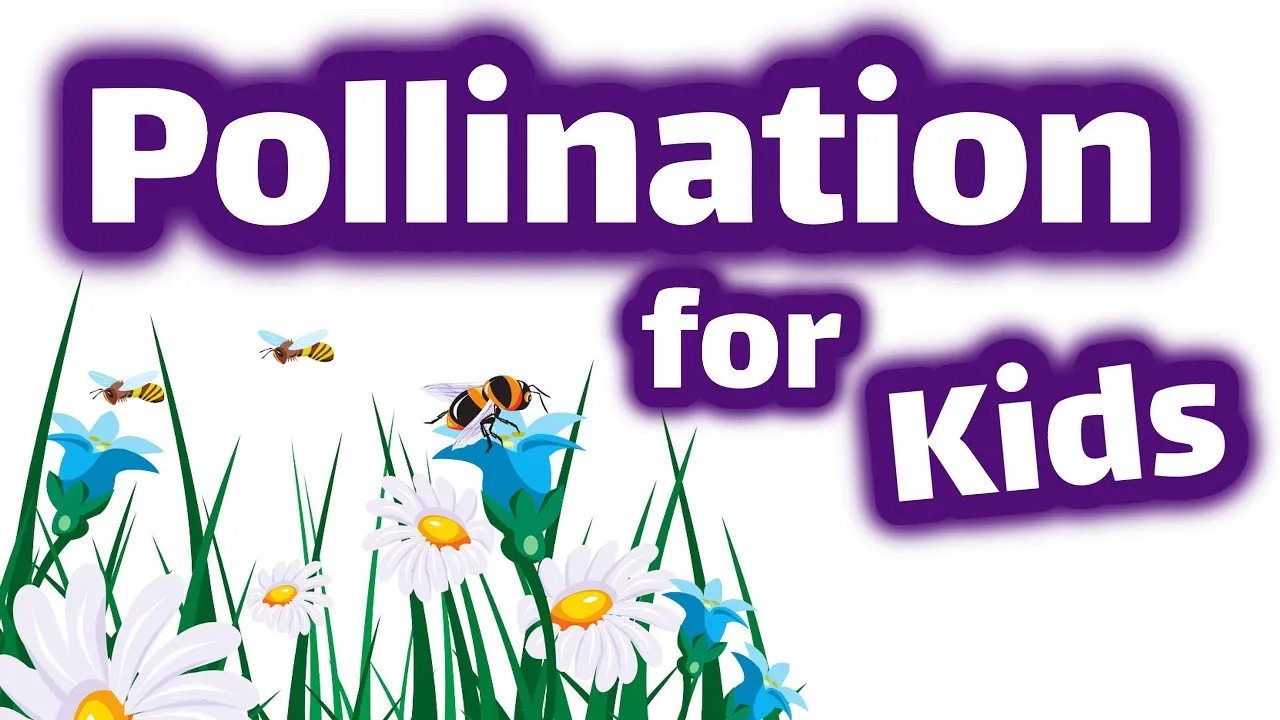 Pollination for Kids - ClassX