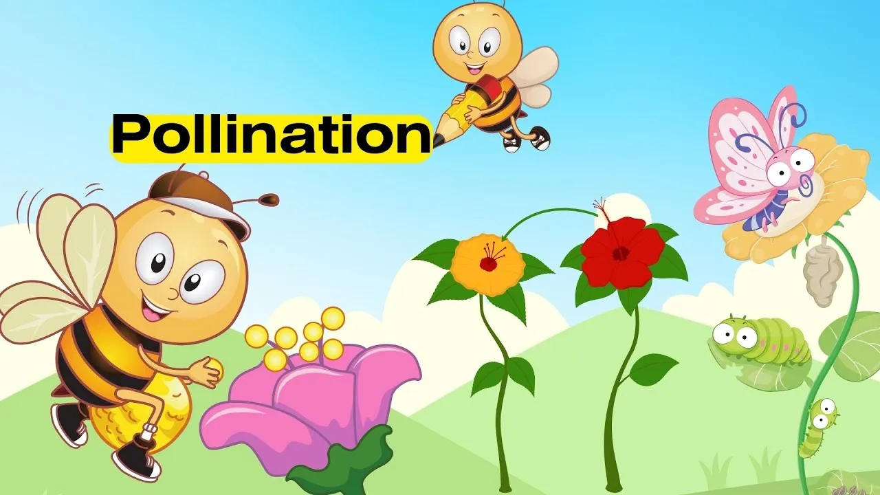 Pollination | Parts of a Flower | Class 5 Science - ClassX
