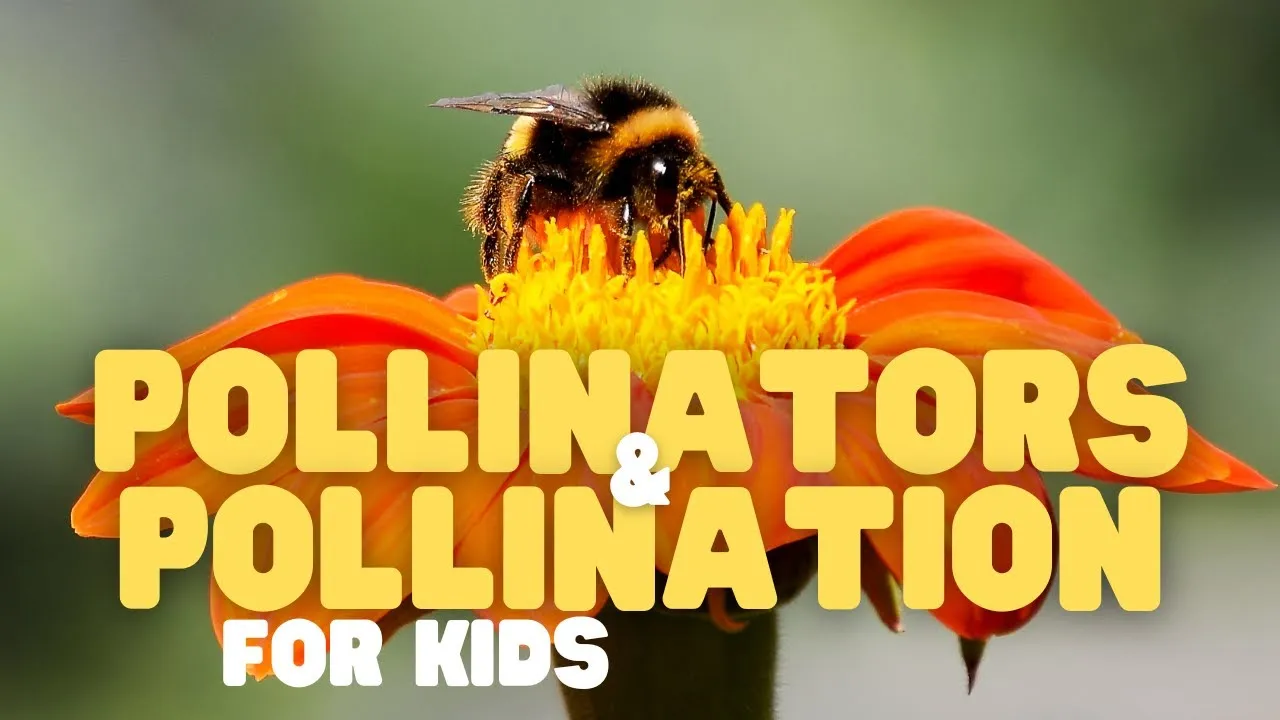 Pollinators and Pollination for Kids | Fun facts about pollination and ...